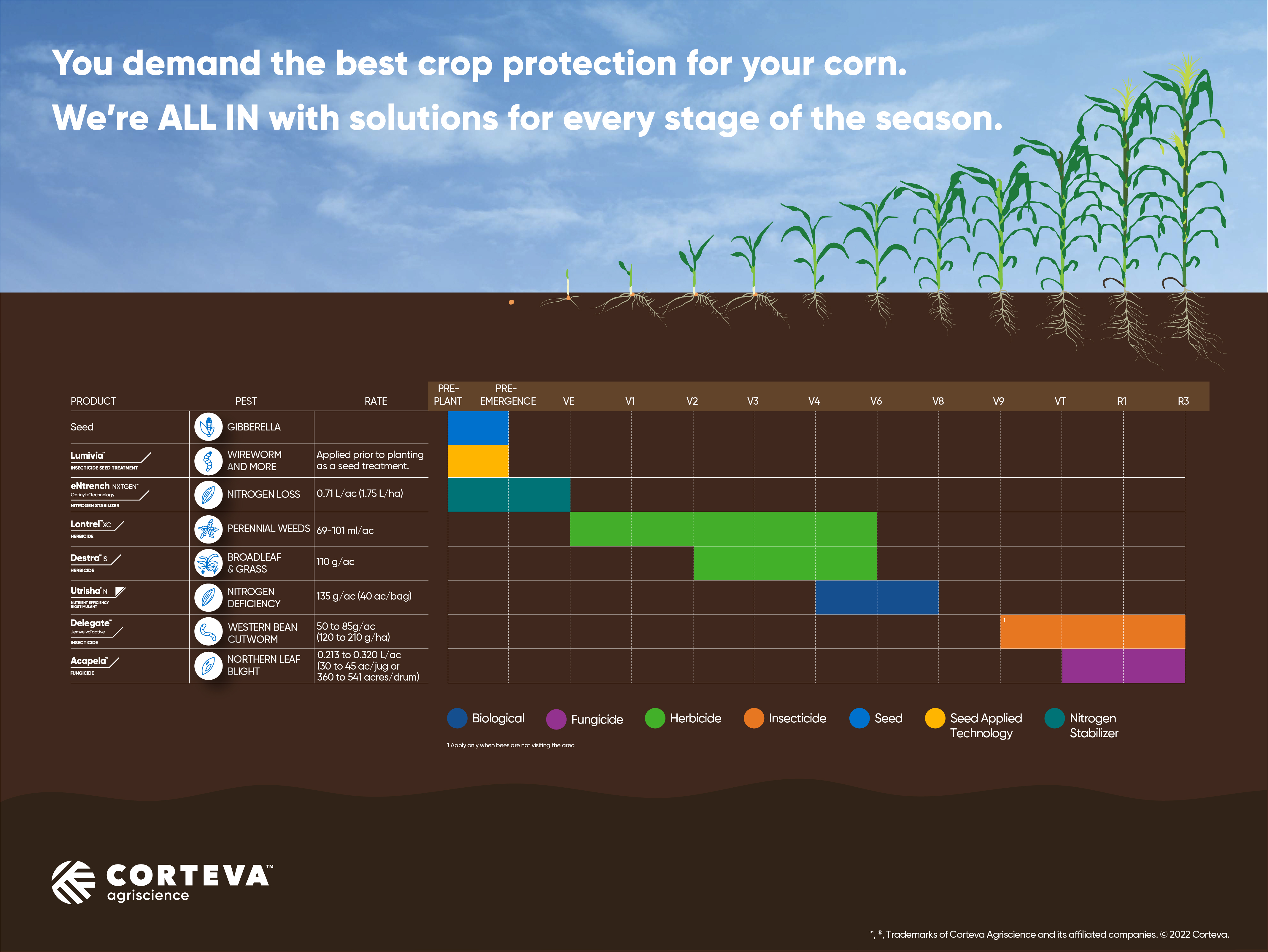 Corn Growth Chart TOTALINVESTOR: Corn Makes Monthly Highs On Mixed